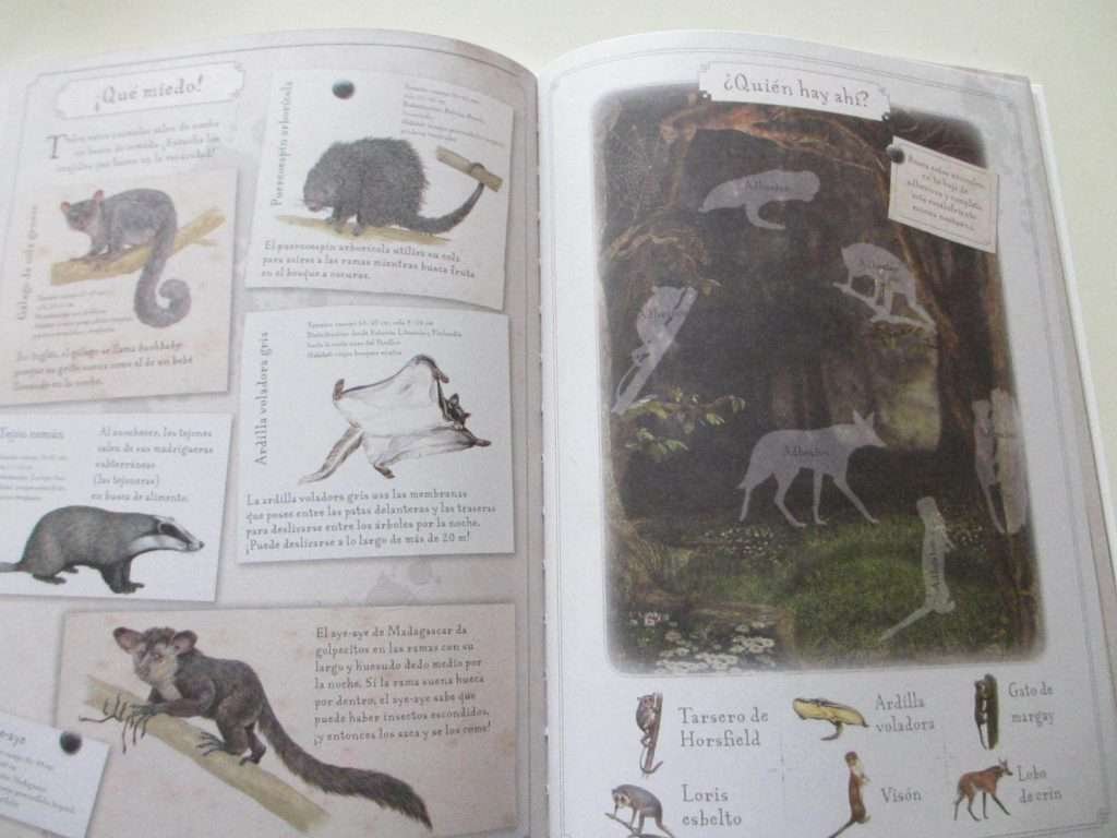 Colección de curiosidades: Descubre el mundo con la editorial Larousse